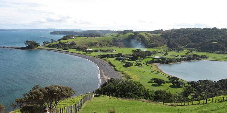 Best Auckland Regional Parks Camping Sites | Escape Rentals